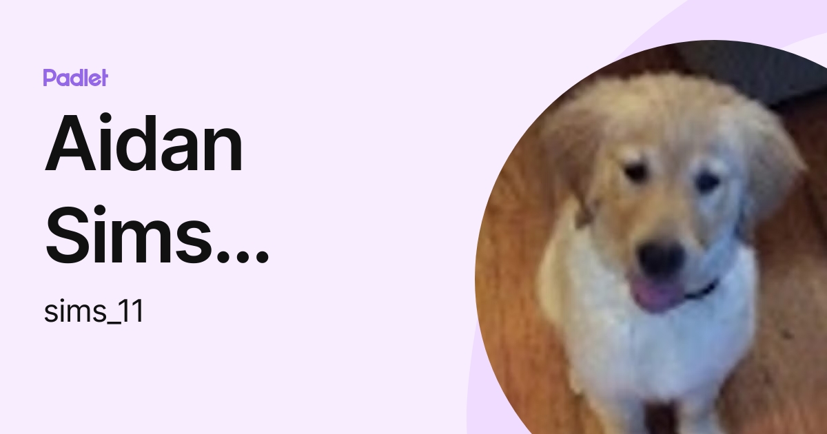 Aidan Sims (Student) (sims_11) profile | Padlet