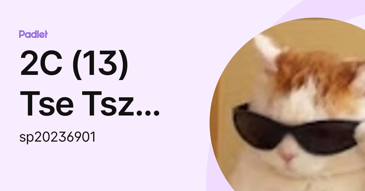 2C (13) Tse Tsz Hon Rico (sp20236901) profile | Padlet