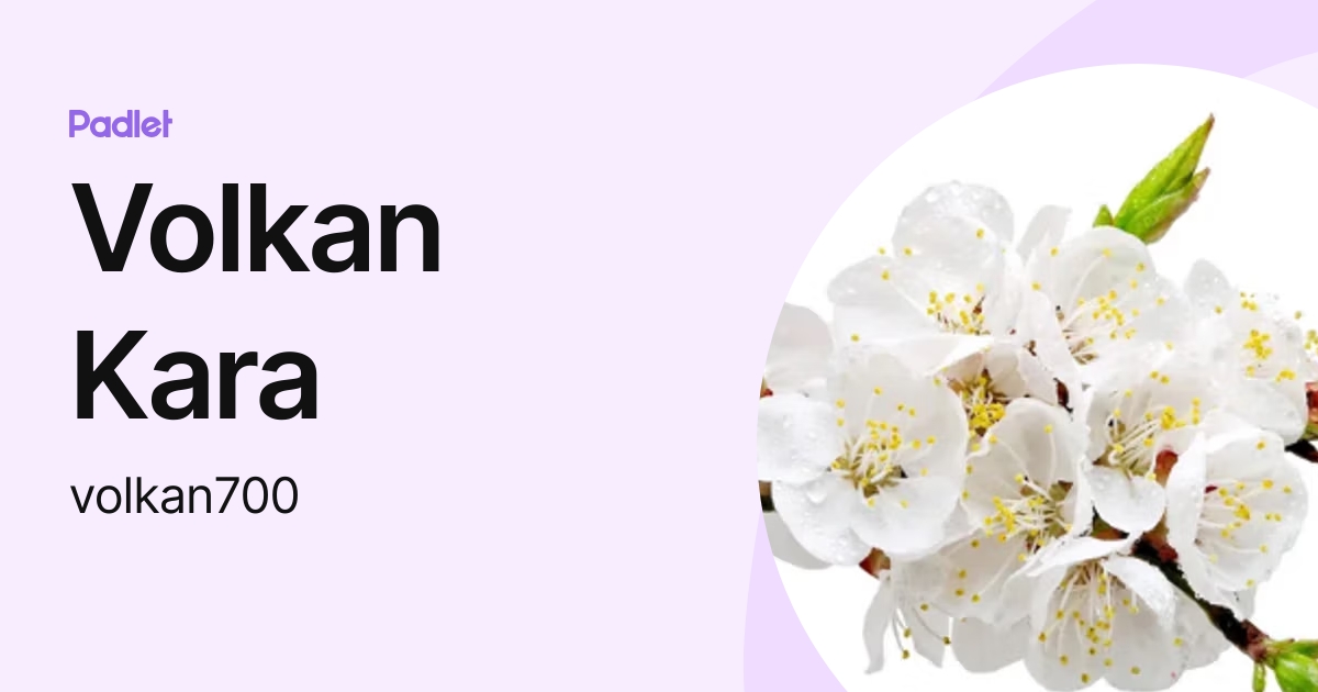 Volkan Kara (volkankara700) profile | Padlet