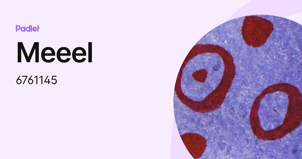 Meeel (6761145) profile | Padlet