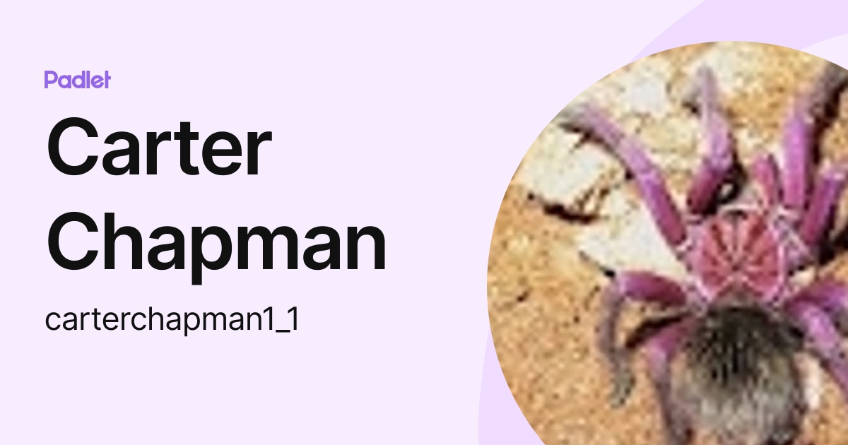 Carter Chapman (carterchapman1_1) profile | Padlet