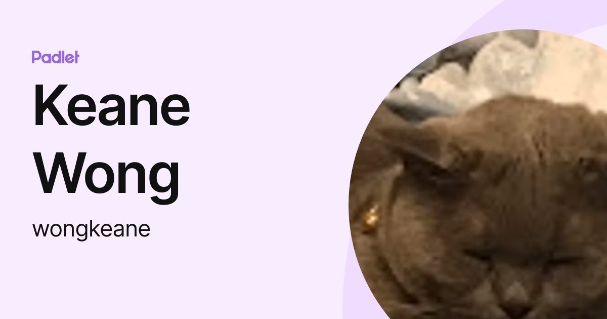 Keane Wong (wongkeane) profile | Padlet