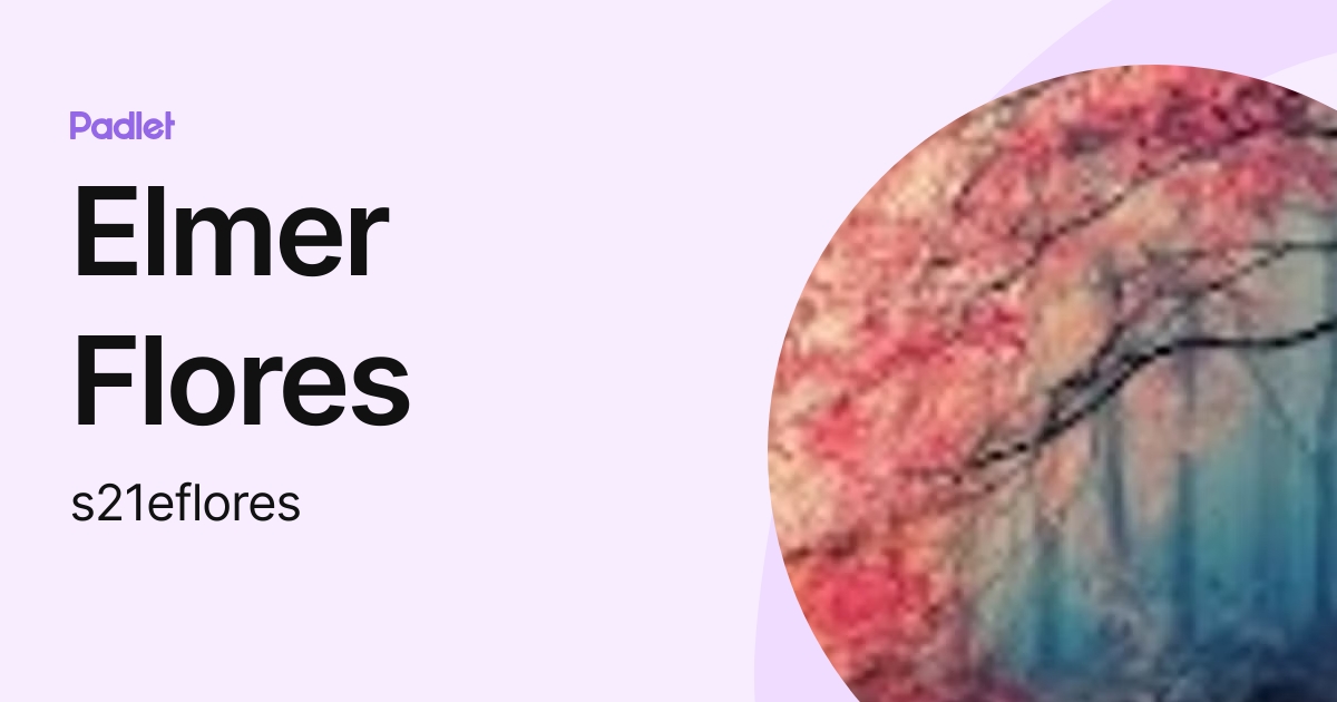 Elmer Flores (s21eflores) profile | Padlet