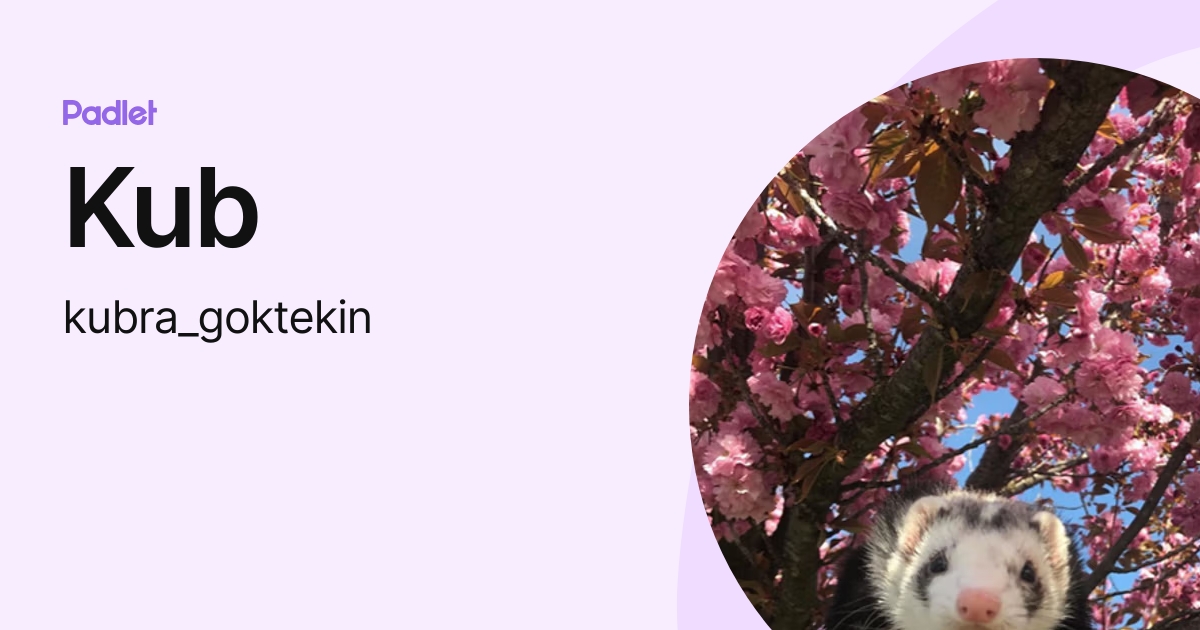 Kub (kubra_goktekin) profile | Padlet