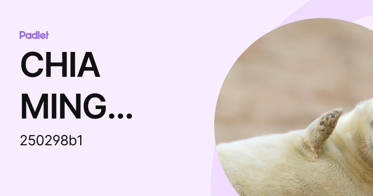 CHIA MING YANG (250298b1) profile | Padlet