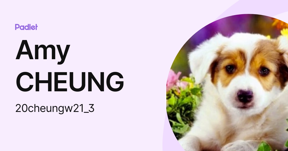 Amy CHEUNG (20cheungw2) profile | Padlet