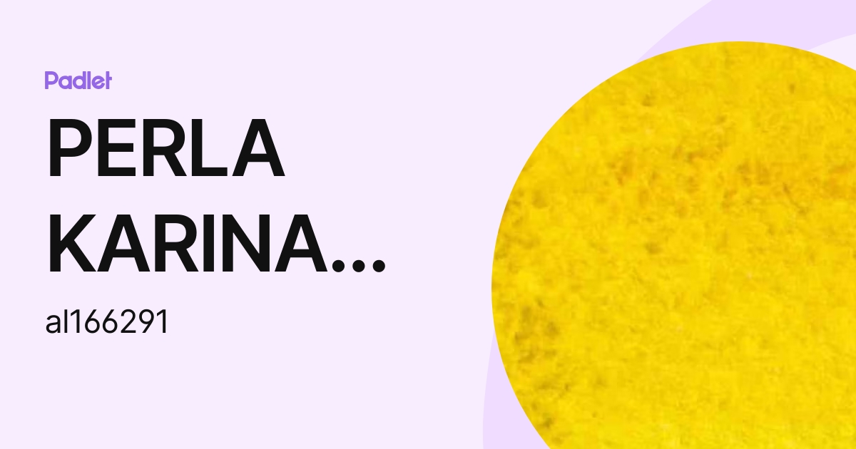 PERLA KARINA SANTILLANO SOTO (al166291) profile | Padlet