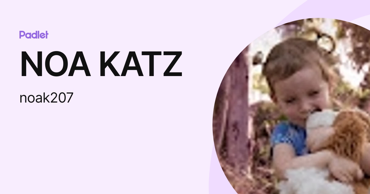 NOA KATZ (noak207) profile | Padlet