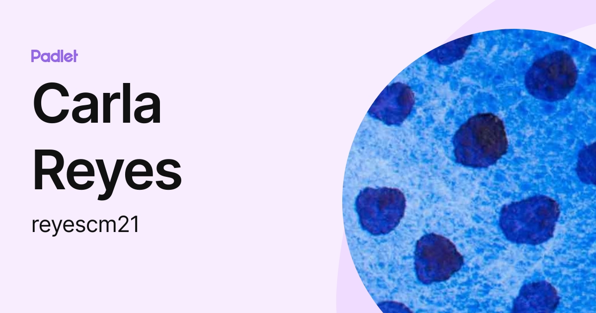 Carla Reyes (reyescm21) profile | Padlet