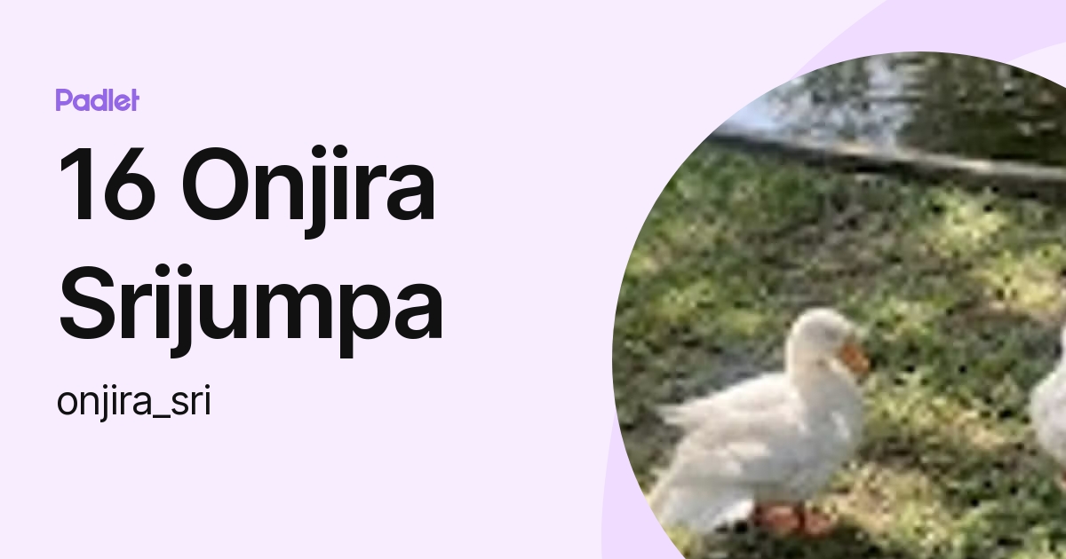 16 Onjira Srijumpa (onjira_sri) profile | Padlet