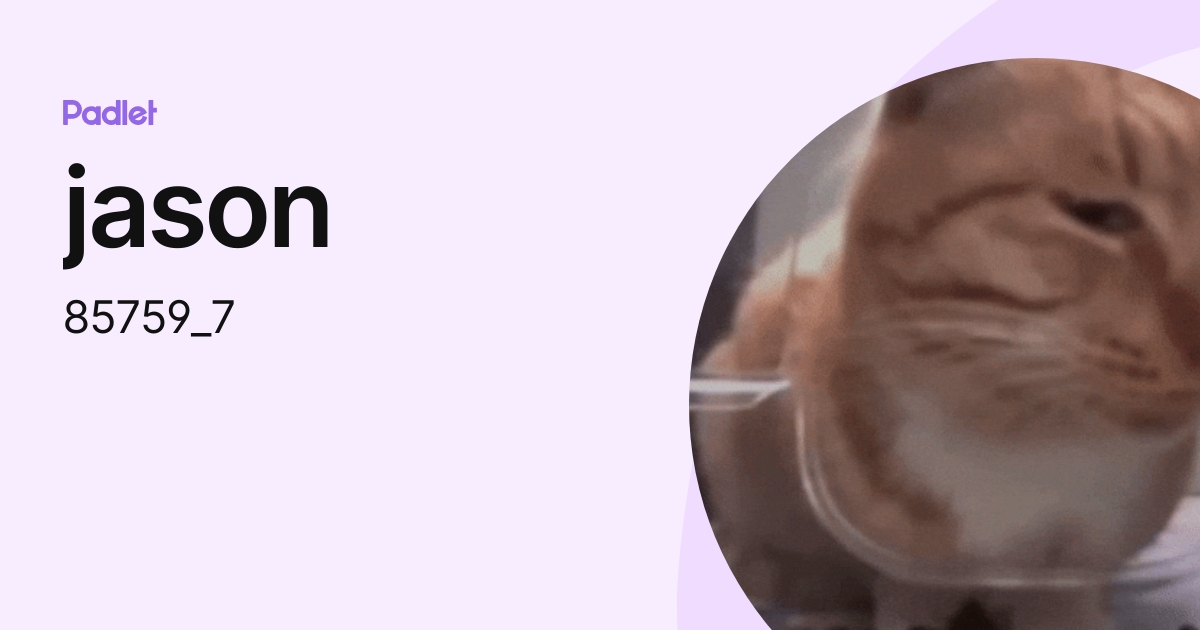 Jason the king of all fortnite (85759_7) profile | Padlet