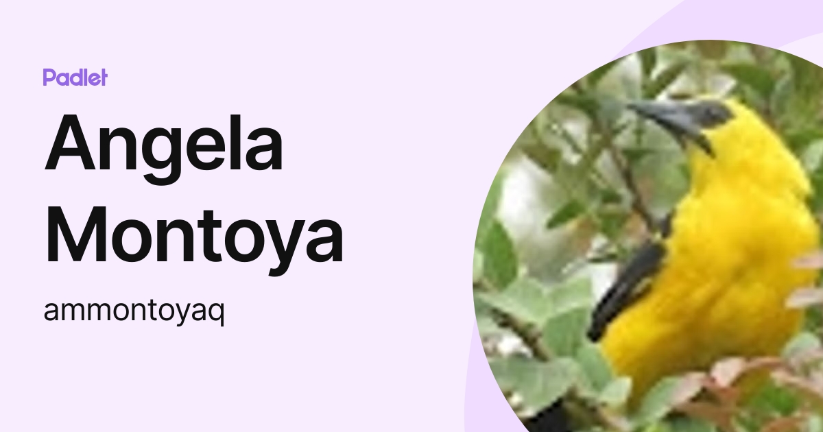 Angela Montoya (ammontoyaq) profile | Padlet