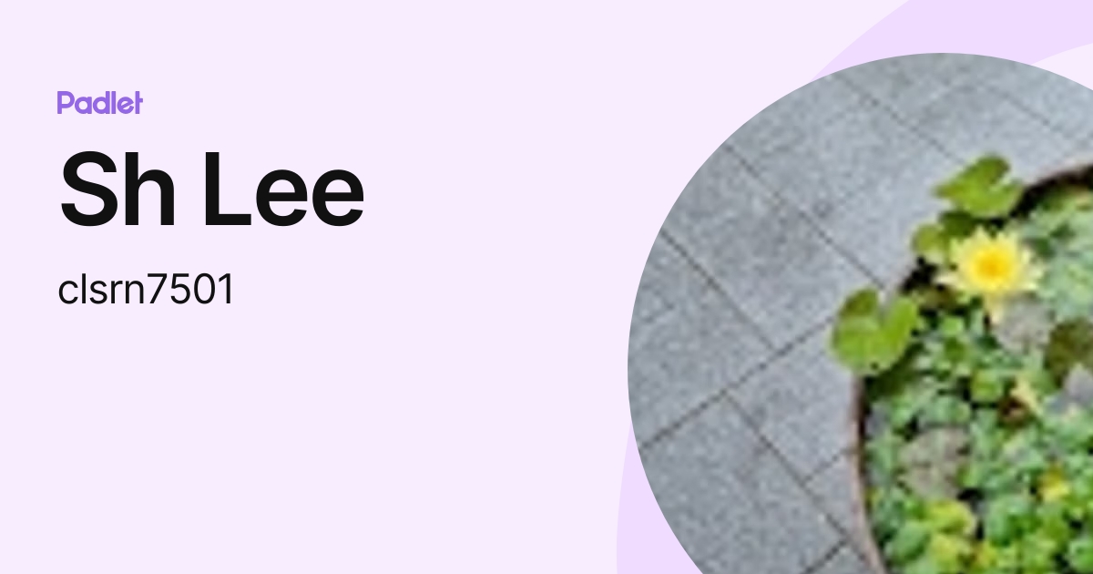 Sh Lee (clsrn7501) profile | Padlet