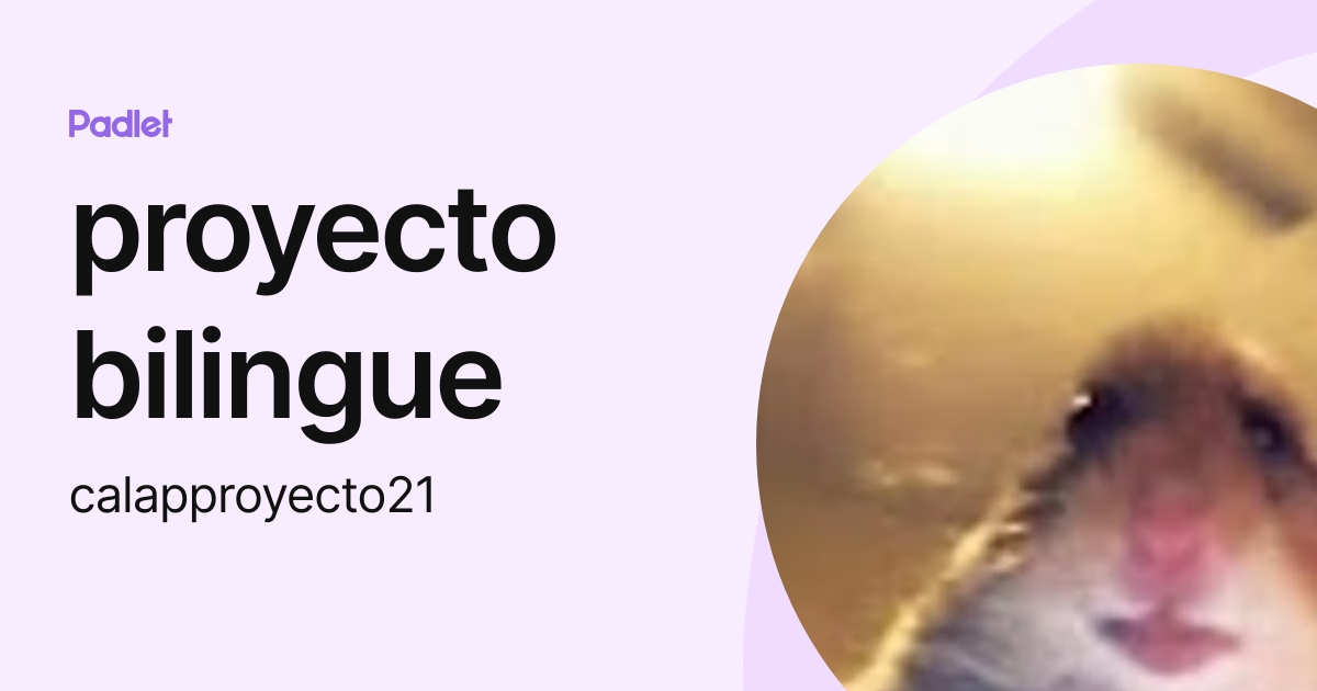 proyecto bilingue (calapproyecto21) profile | Padlet