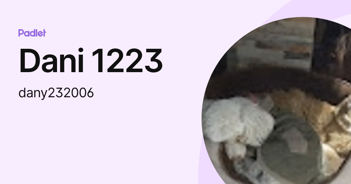 Dani 1223 (dany232006) profile | Padlet