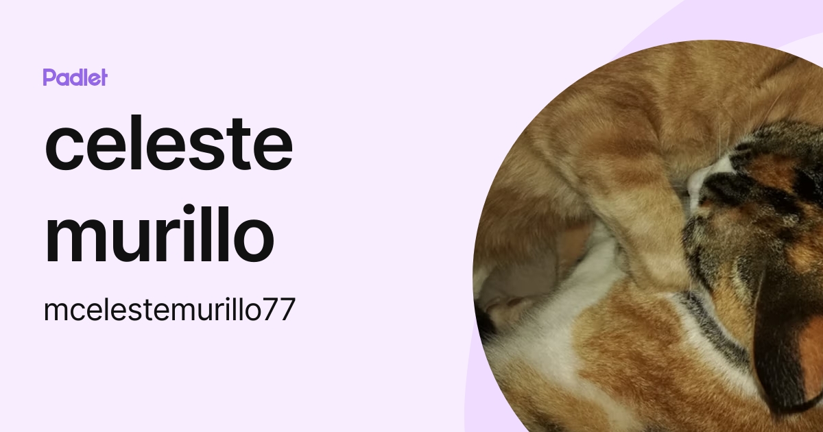 celeste murillo (mcelestemurillo77) profile | Padlet