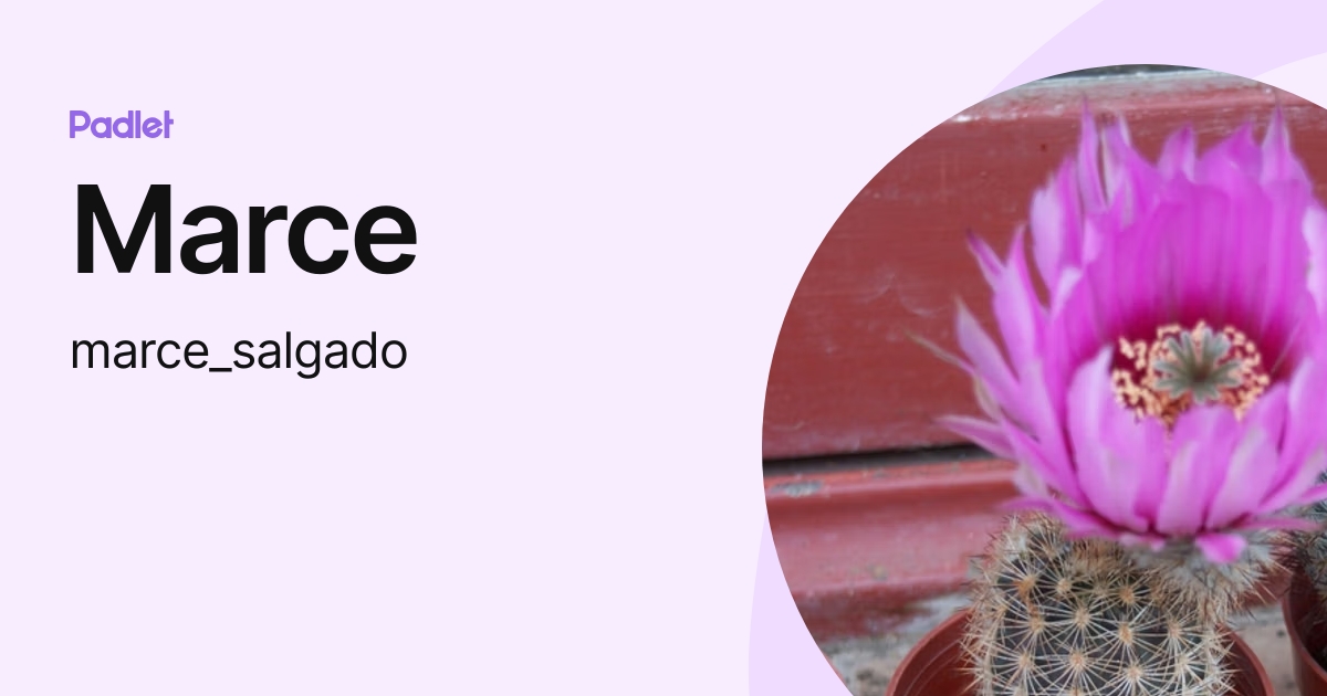 Marce (marce_salgado) profile | Padlet