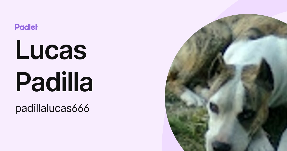 Lucas Padilla (padillalucas666) profile | Padlet