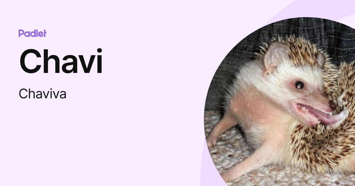 Chavi (Chaviva) profile | Padlet