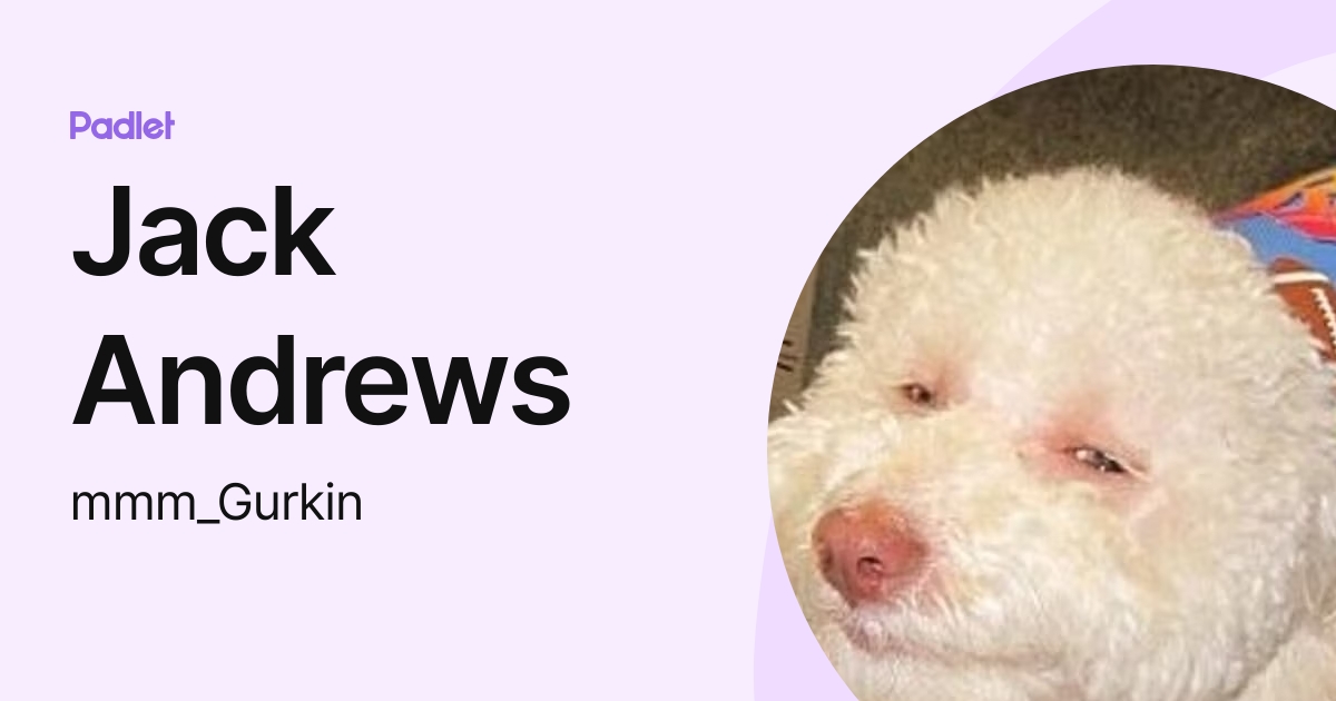 Jack Andrews (mmm_Gurkin) profile | Padlet
