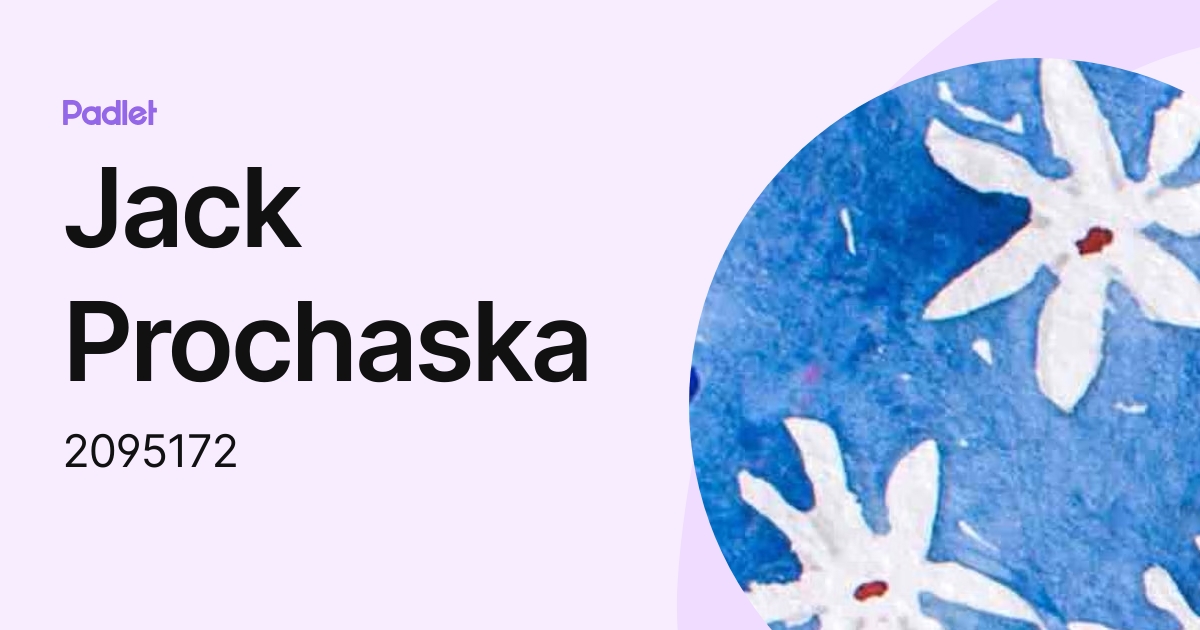 Jack Prochaska (2095172) profile | Padlet