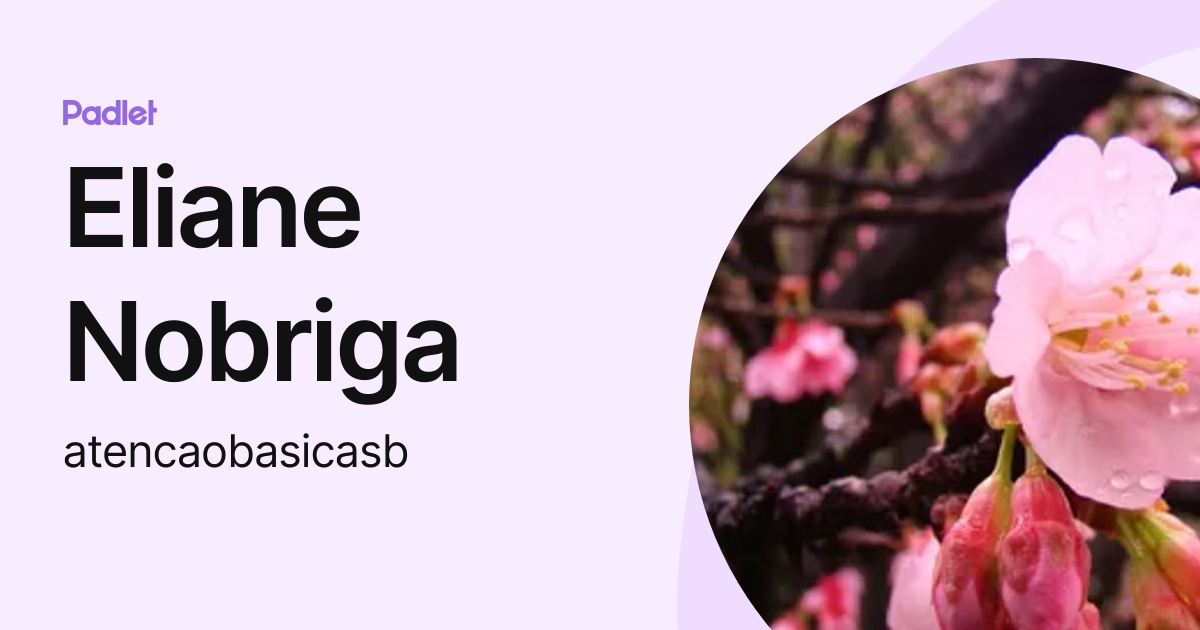 Eliane Nobriga (atencaobasicasb) profile | Padlet