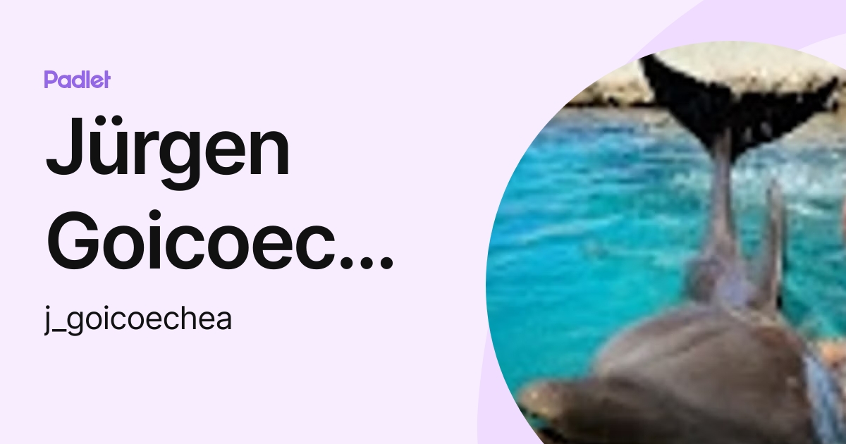 Jürgen Goicoechea (j_goicoechea) profile | Padlet