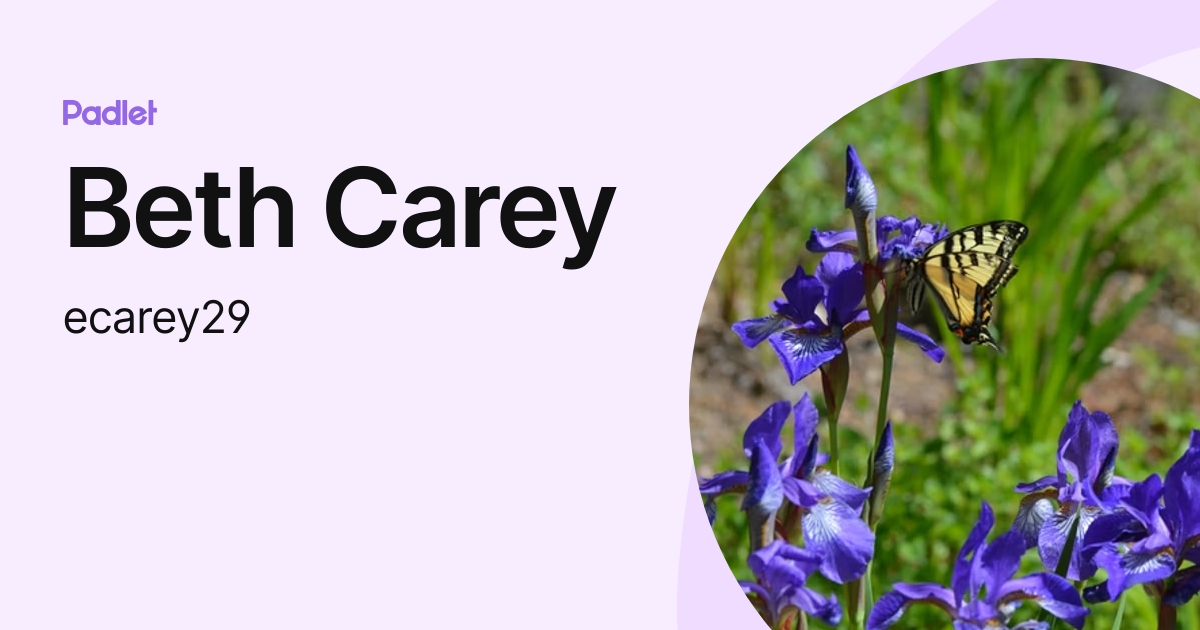 Beth Carey (ecarey29) profile | Padlet
