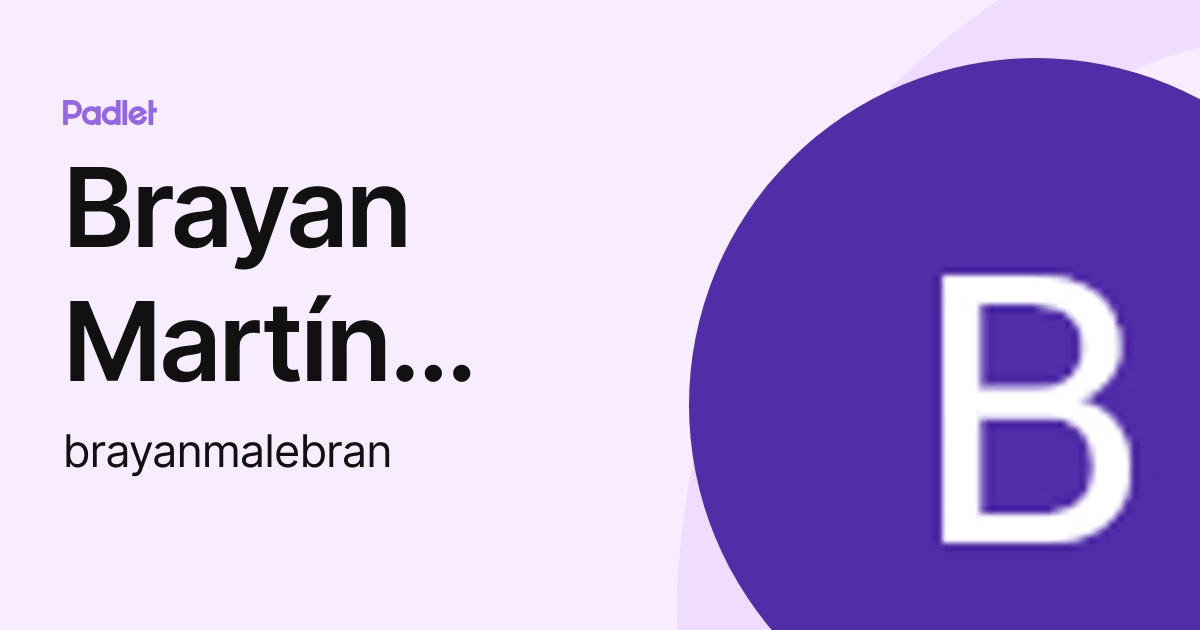 Brayan Martín Malebrán Guerrero (brayanmalebran) profile | Padlet