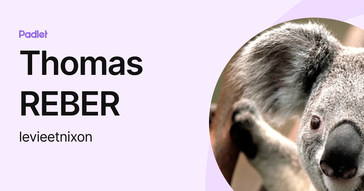 Thomas REBER (levieetnixon) profile | Padlet
