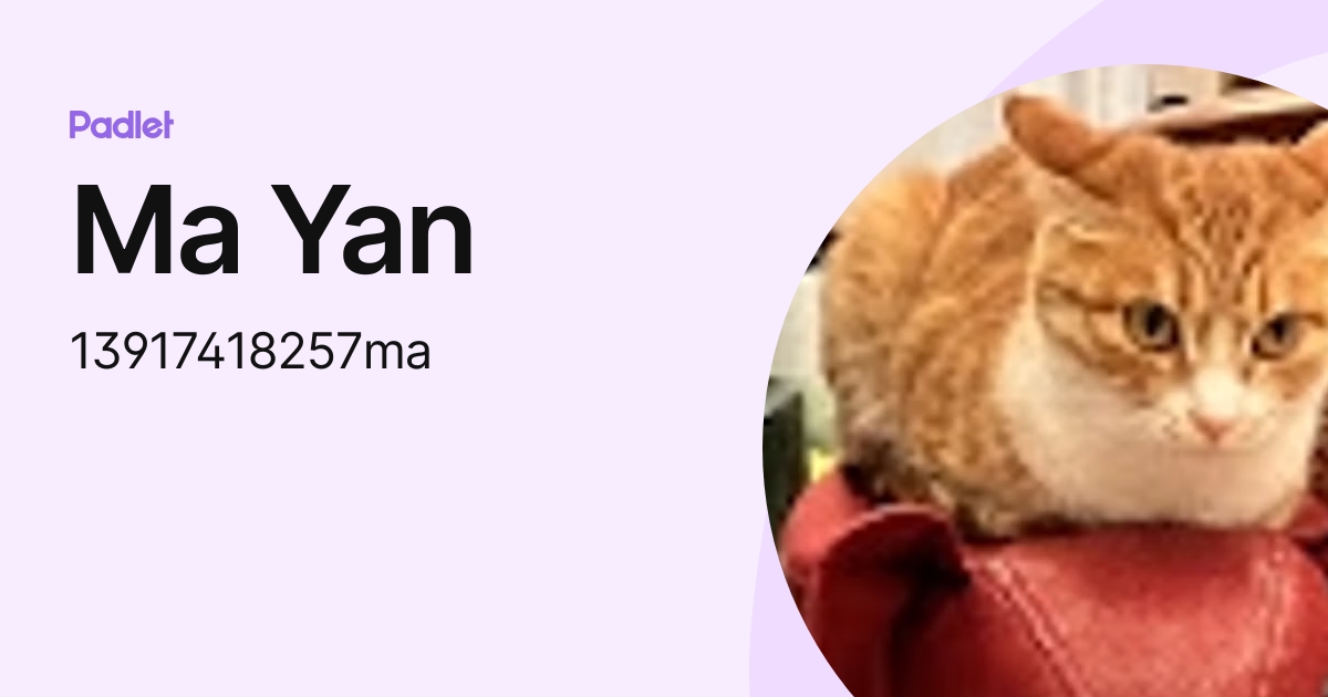 Ma Yan (13917418257ma) profile | Padlet