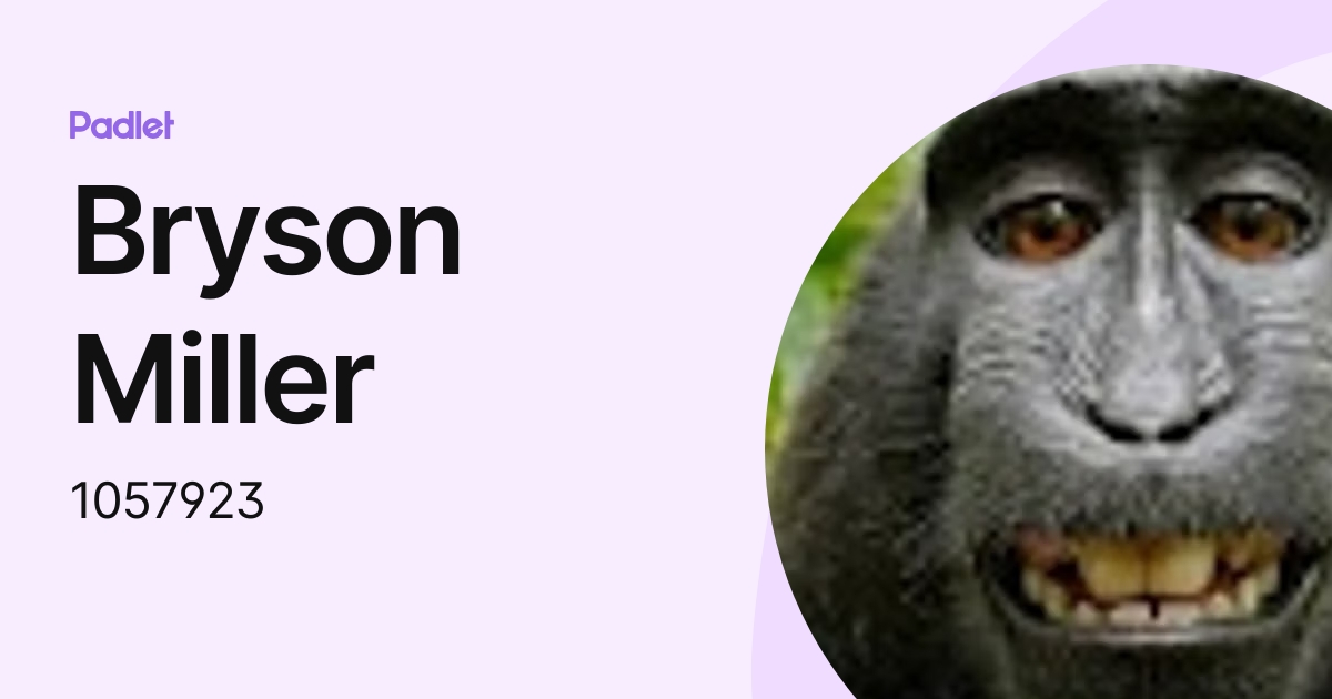 Bryson Miller (1057923) profile | Padlet