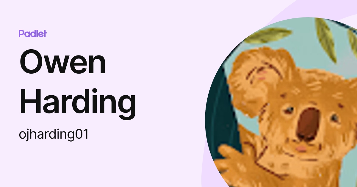 Owen Harding (ojharding01) profile | Padlet