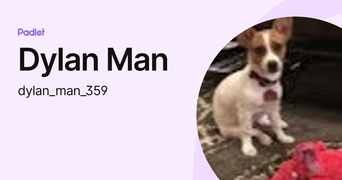 Dylan Man (dylan_man_359) profile | Padlet