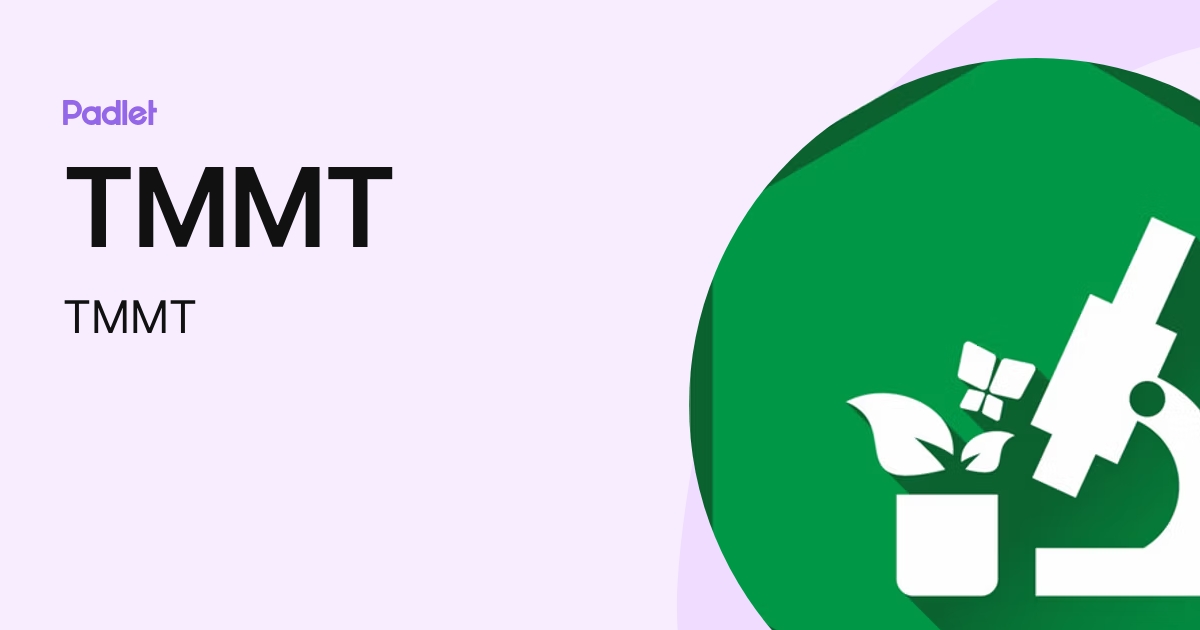 TMMT (TMMT) profile | Padlet