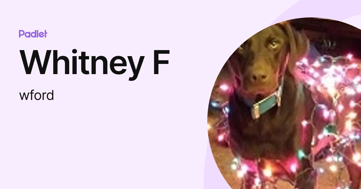 Whitney F (wford) profile | Padlet