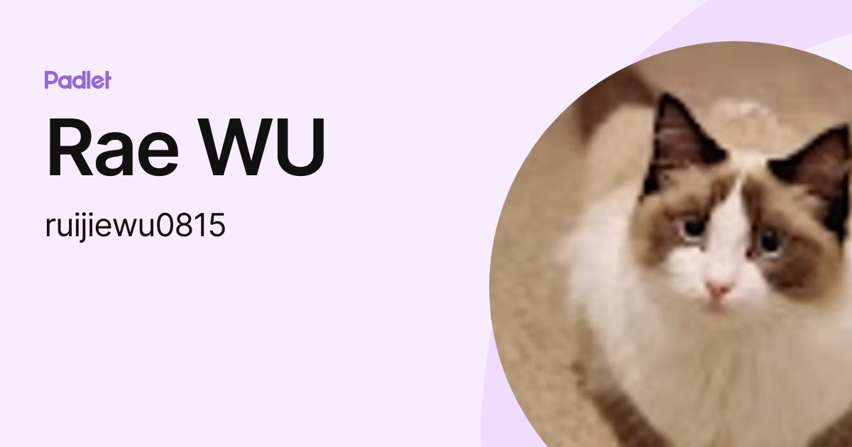 Rae WU (ruijiewu0815) profile | Padlet