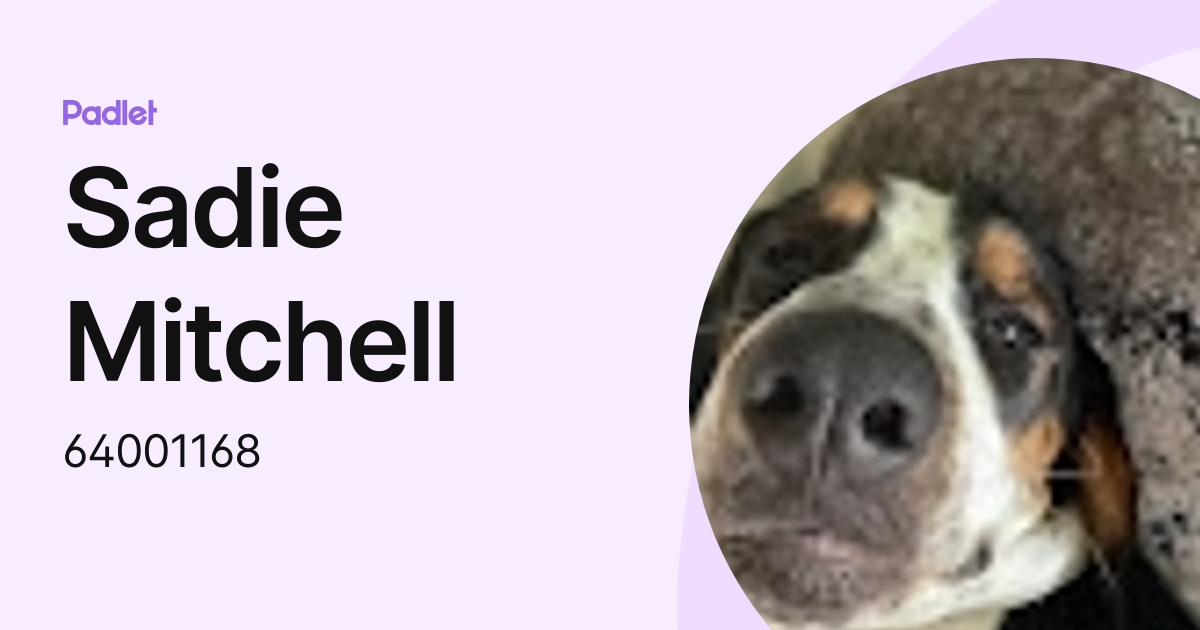 Sadie Mitchell (64001168) profile | Padlet