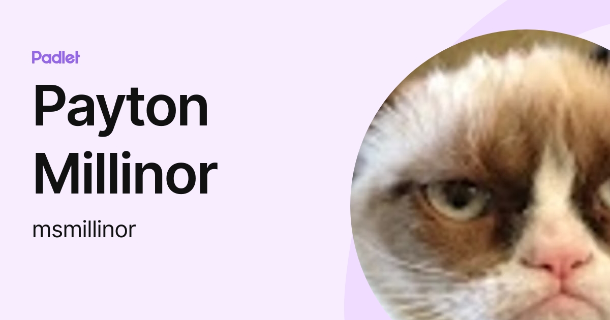 Payton Millinor (msmillinor) profile | Padlet