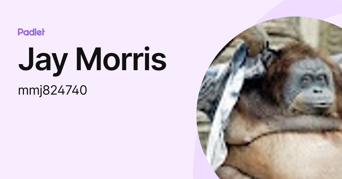 Jay Morris (mmj824740) profile | Padlet