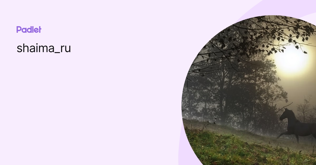 shaima_ru profile | Padlet
