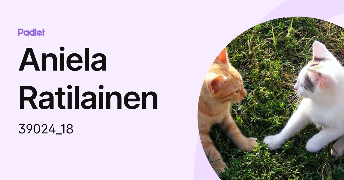 Aniela Ratilainen (39024_18) profile | Padlet