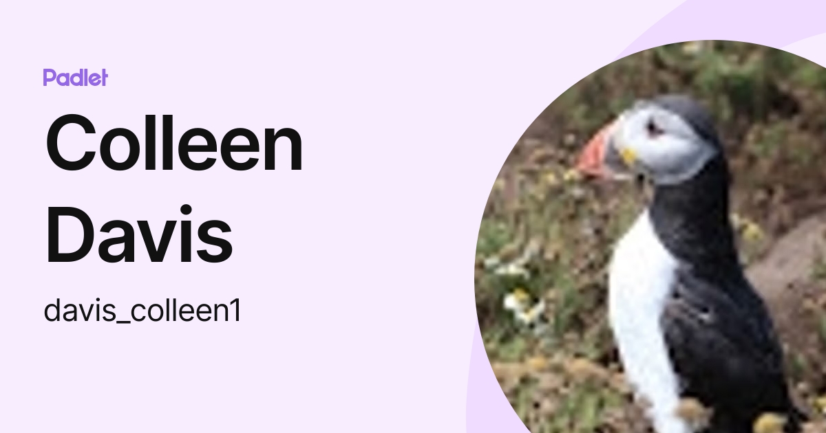 Colleen Davis (davis_colleen1) profile | Padlet