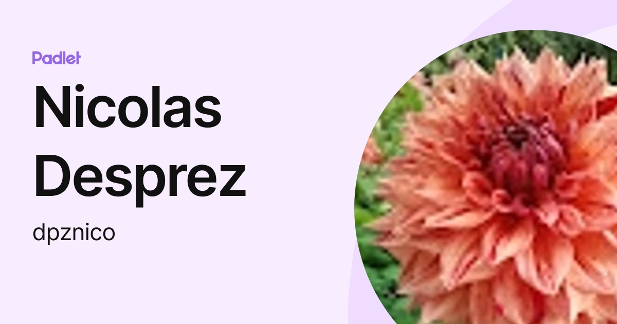 Nicolas Desprez (dpznico) profile | Padlet