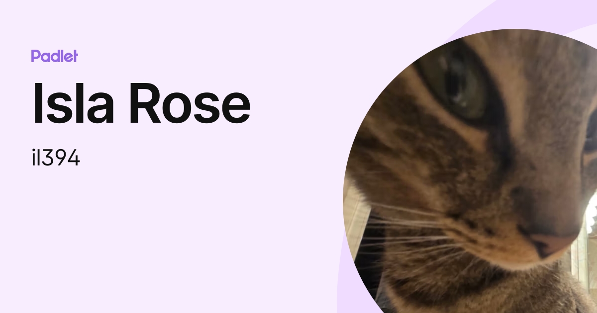 Isla Rose (il394) profile | Padlet