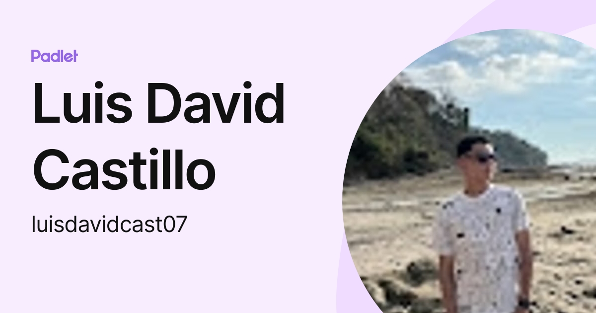 Luis David Castillo (luisdavidcast07) profile | Padlet