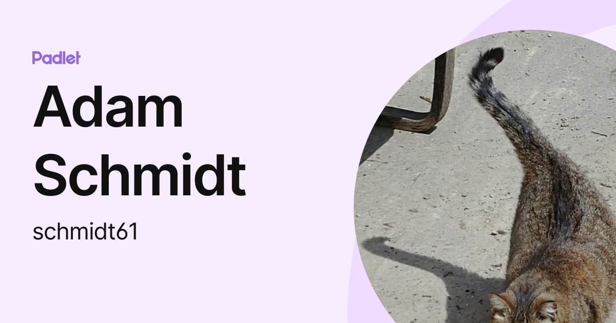 Adam Schmidt (schmidt61) profile | Padlet
