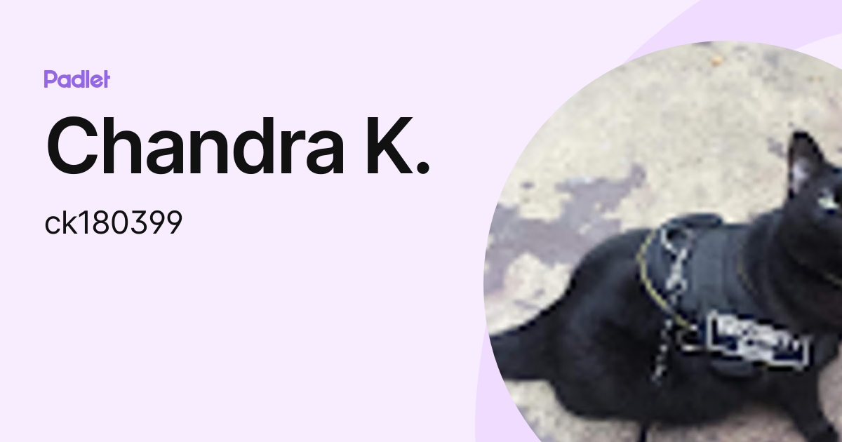 Chandra K. (ck180399) profile | Padlet