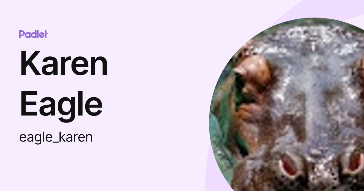 Karen Eagle (eagle_karen) profile | Padlet