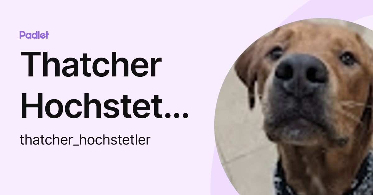 Thatcher Hochstetler (thatcher_hochstetler) profile | Padlet